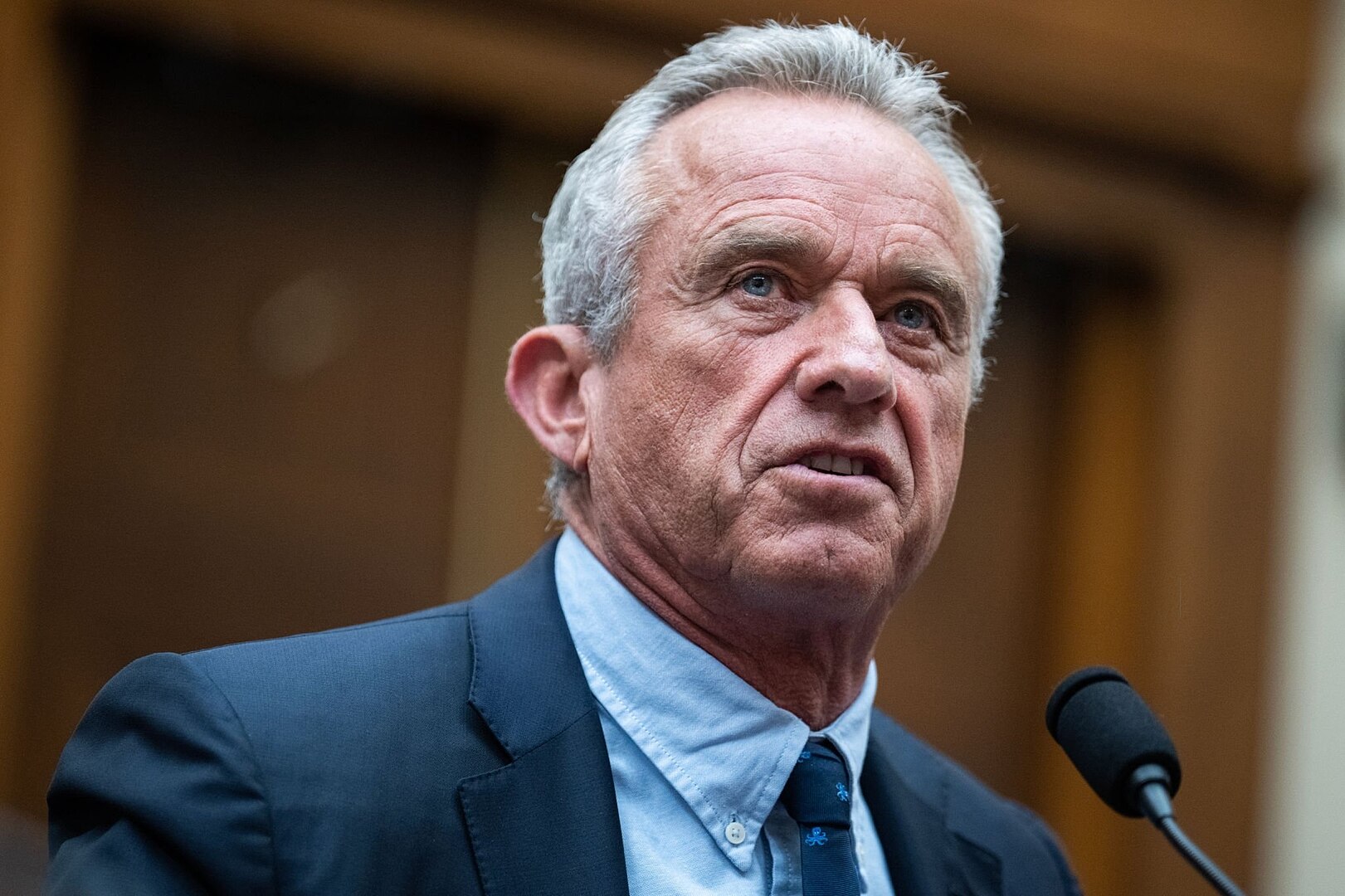 Robert F. Kennedy Jr. as Independent: Novelty or Force? - The Long Brief